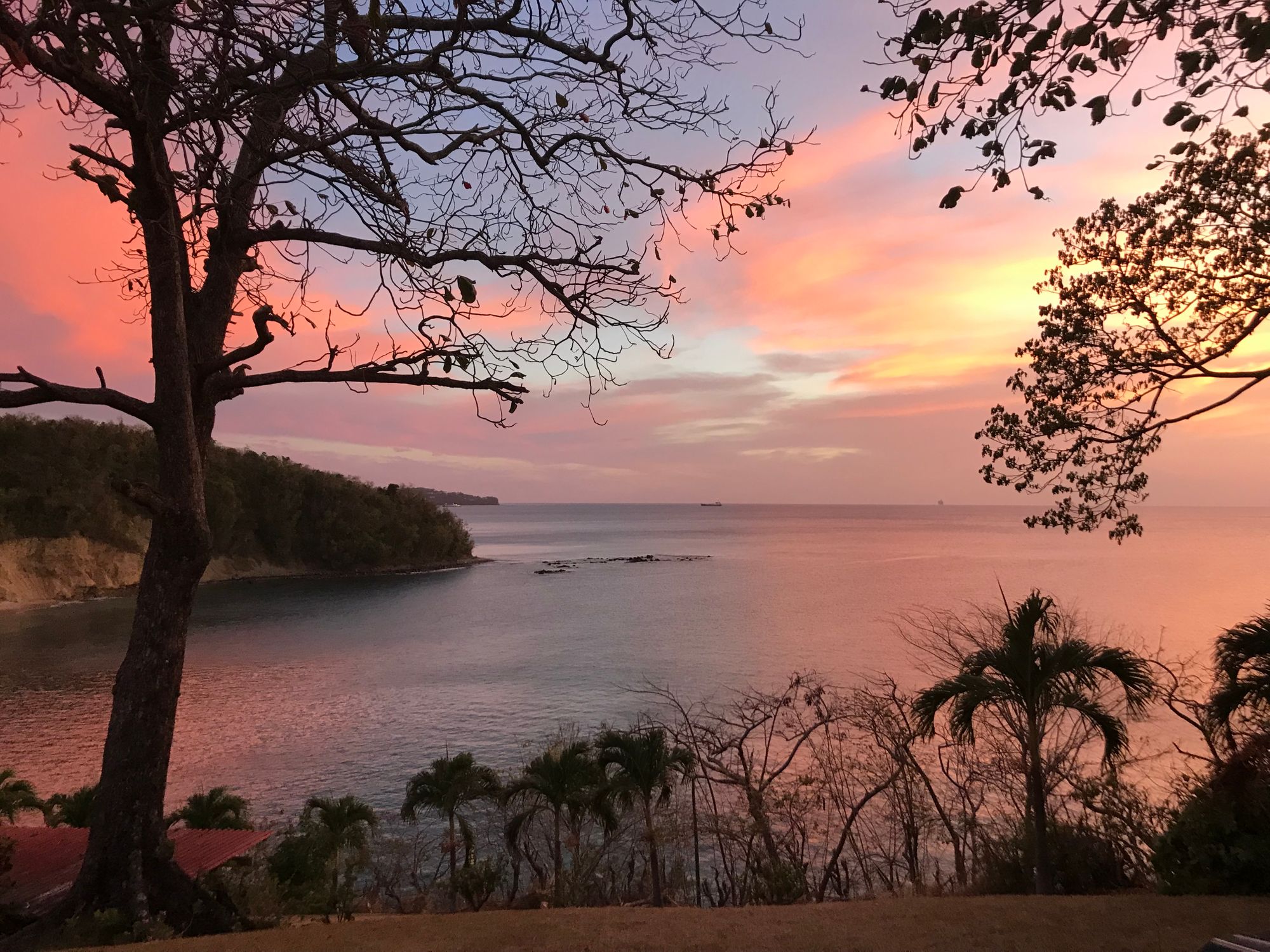 Brett Morgan - brettmorgan.net